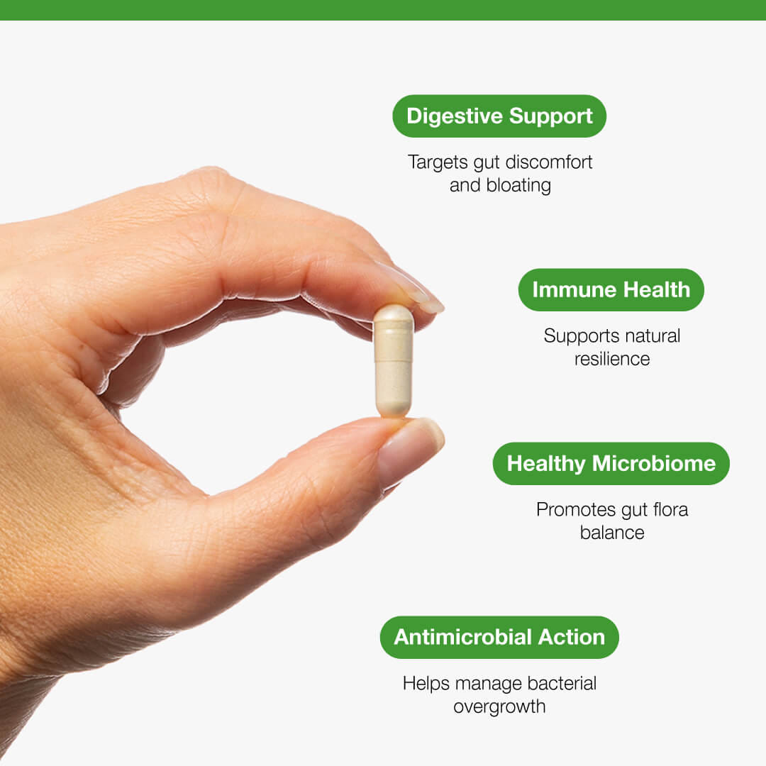 Candex SIBO 45 Capsules | Metagenics UK