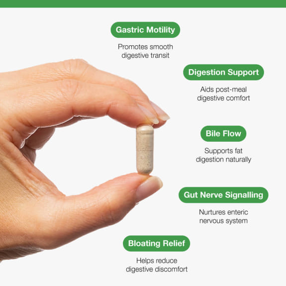 Motility Complex with Ginger & Artichoke | Targeted Formula to Support ...