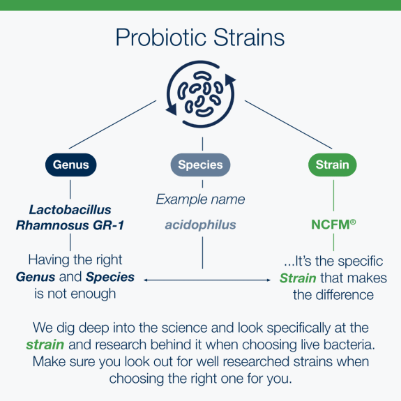 Probiotic Plus 60 Capsules with Live Bacteria | Metagenics UK